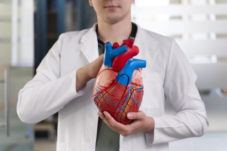 Seeing A Cardiologist in Singapore: The Complete Guide - Urban Living